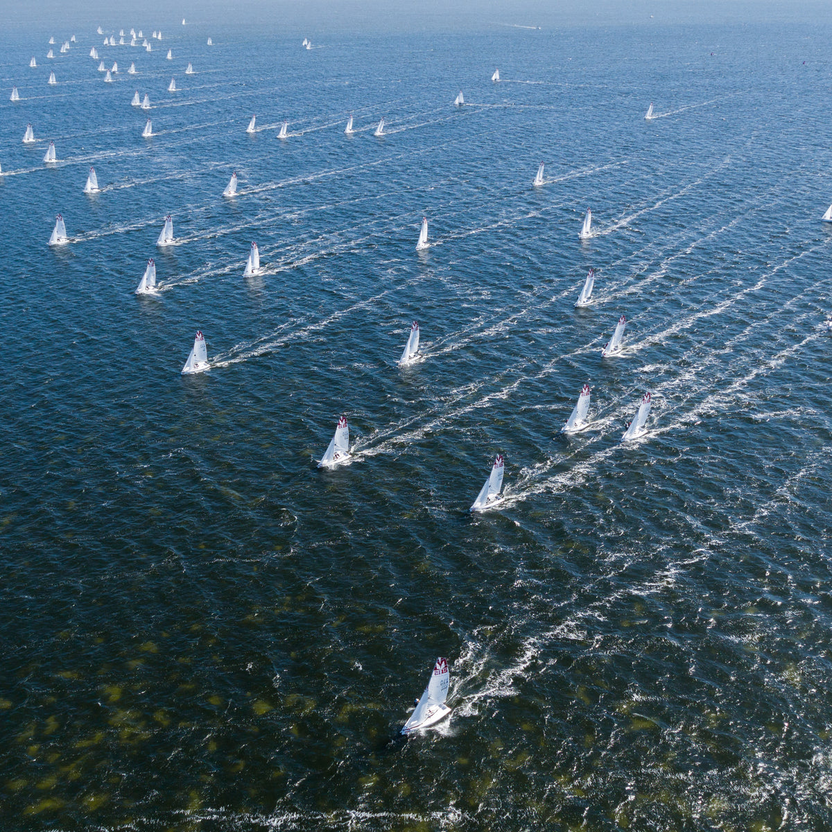 Melges C Scow – Melges Performance Sailboats